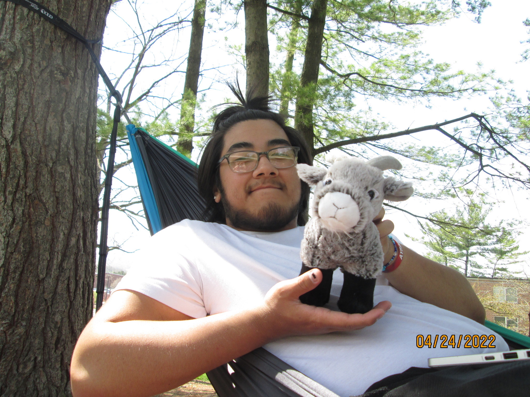 DANL Final - Jeffrey Petrie